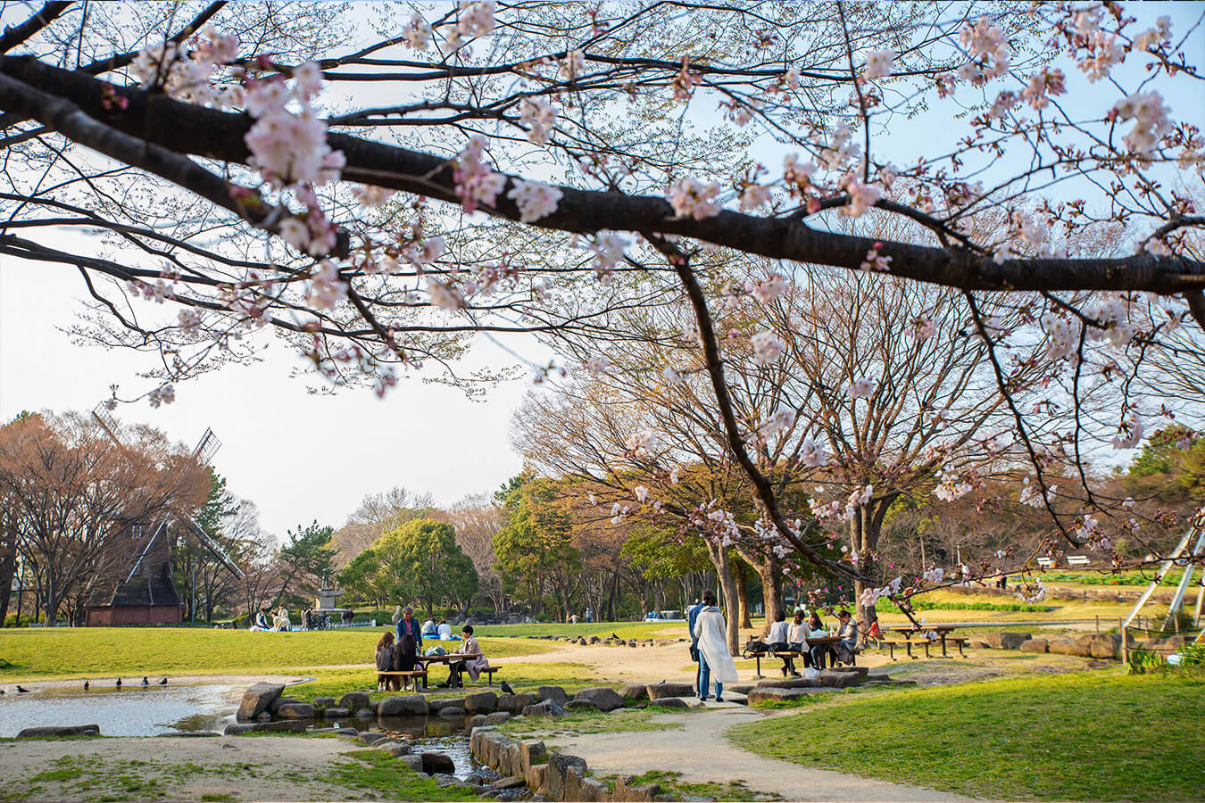 7 Best Things to Do in Nagoya - Nagoya is not boring