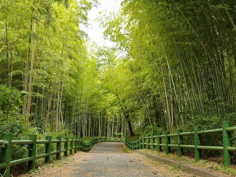 The 21 Best Parks and Gardens in Nagoya - Nagoya is not boring