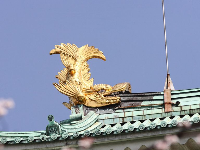 Visit Nagoya Castle! Nagoya's Famous Landmark - Nagoya is not boring